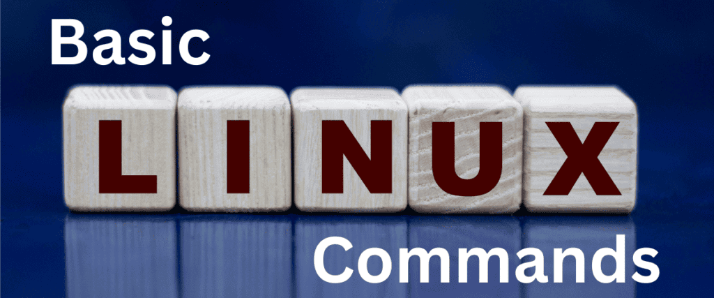 Basic Linux Commands - PHP Coders USA